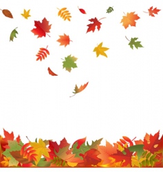 Autumn leaves background vector by ctrlaplus - Image #963257 - VectorStock
