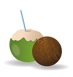 Coconut detailed icon vector by Annzabella - Image #10154295 - VectorStock