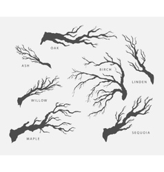 Liquid branches Royalty Free Vector Image - VectorStock