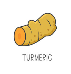 Turmeric root hand draw vintage clip art isolated Vector Image