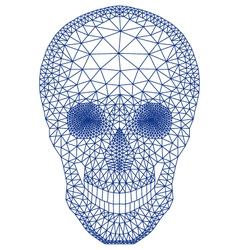 Human skull Royalty Free Vector Image - VectorStock