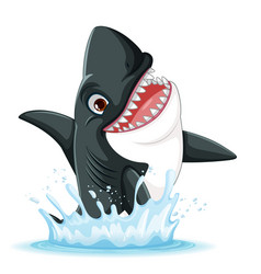 Great white shark smiling Royalty Free Vector Image