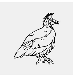 Stencil hawk Royalty Free Vector Image - VectorStock