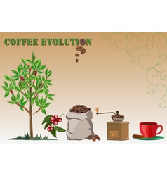 Coffee tree Royalty Free Vector Image - VectorStock