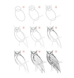 Page shows how to learn draw from life sketch Vector Image