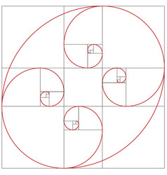 Golden ratio geometric concept fibonacci spiral Vector Image