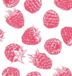 Raspberry Royalty Free Vector Image - VectorStock