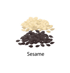 No sesame seeds contains information sign Vector Image