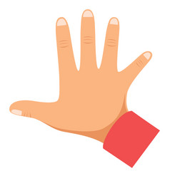 Human body parts Royalty Free Vector Image - VectorStock