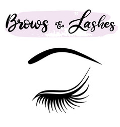 Eyelash graphic design template isolated Vector Image