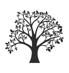 Spring tree Royalty Free Vector Image - VectorStock