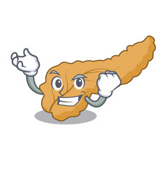 Pancreas Royalty Free Vector Image - VectorStock