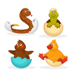 Caring for animals Royalty Free Vector Image - VectorStock