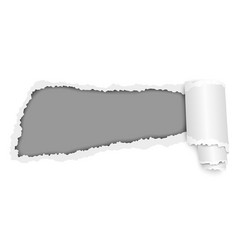 Torn snatched window in sheet white paper Vector Image