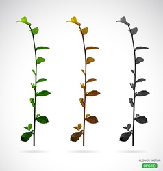 Leaves cmyk Royalty Free Vector Image - VectorStock