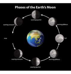 Earth and lunar phase set Royalty Free Vector Image