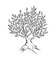 Olive tree silhouette icon isolated Royalty Free Vector