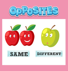 Opposite adjectives with same and different Vector Image