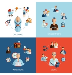 Stages human embryonic development Royalty Free Vector Image