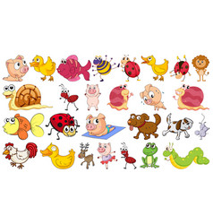 Set of wild animals Royalty Free Vector Image - VectorStock