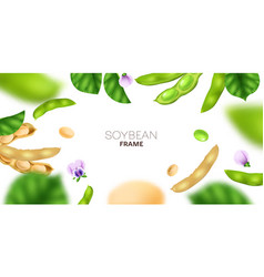 Open and closed green soybean pods items Vector Image