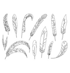 Realistic detailed feathers set hand drawn Vector Image