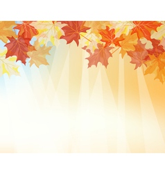 Autumn Leaves Frame Royalty Free Vector Image - VectorStock