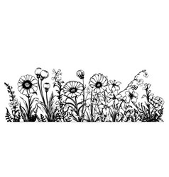Wild flower field border hand drawn sketch Vector Image