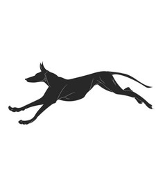 Run dog silhouette jump logo icon sport Royalty Free Vector