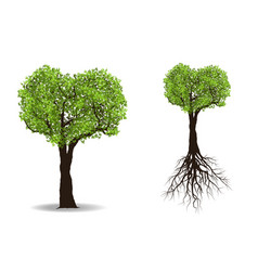 A big old tree Royalty Free Vector Image - VectorStock