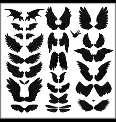Wings vector by Firin - Image #912554 - VectorStock