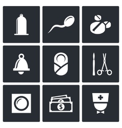 Pregnancy and birth icons Royalty Free Vector Image