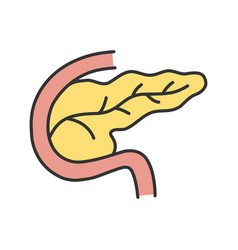 Pancreas isolated icon internal organ digestive Vector Image