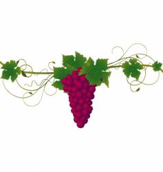Sweet grape vines square torn border seamless Vector Image