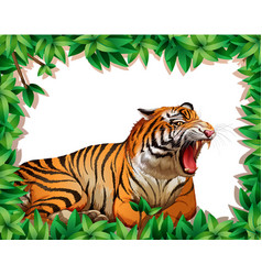 Tiger nature frame border Royalty Free Vector Image