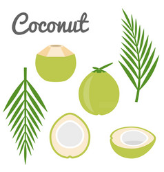 Coconut set Royalty Free Vector Image - VectorStock