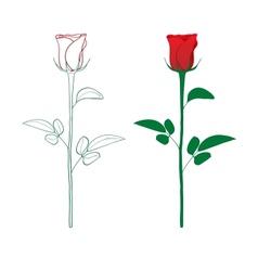 Two red roses Royalty Free Vector Image - VectorStock