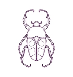 Water beetle outline Royalty Free Vector Image