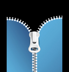 Open zipper vector by Tribaliumvs - Image #1027842 - VectorStock