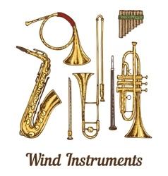 Wind instruments in sketch and cartoon style Vector Image