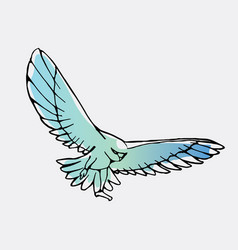 Stencil hawk Royalty Free Vector Image - VectorStock