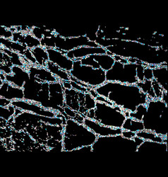 Crack texture scratch distress marble pattern old Vector Image