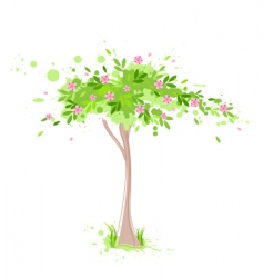 Green spring tree with leaves Royalty Free Vector Image