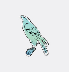 Stencil hawk Royalty Free Vector Image - VectorStock