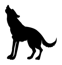 Symbol of rome antiquity capitoline wolf Vector Image