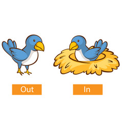 Opposite adjectives in and out Royalty Free Vector Image