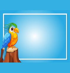 Border design with parrot and pirate Royalty Free Vector