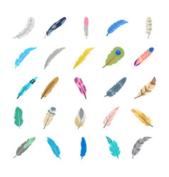 Group of feather on white background Royalty Free Vector