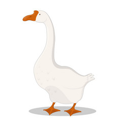 Cute white goose cartoon character walking Vector Image