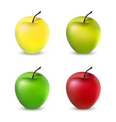 Realistic 3d apple isolated template for your Vector Image